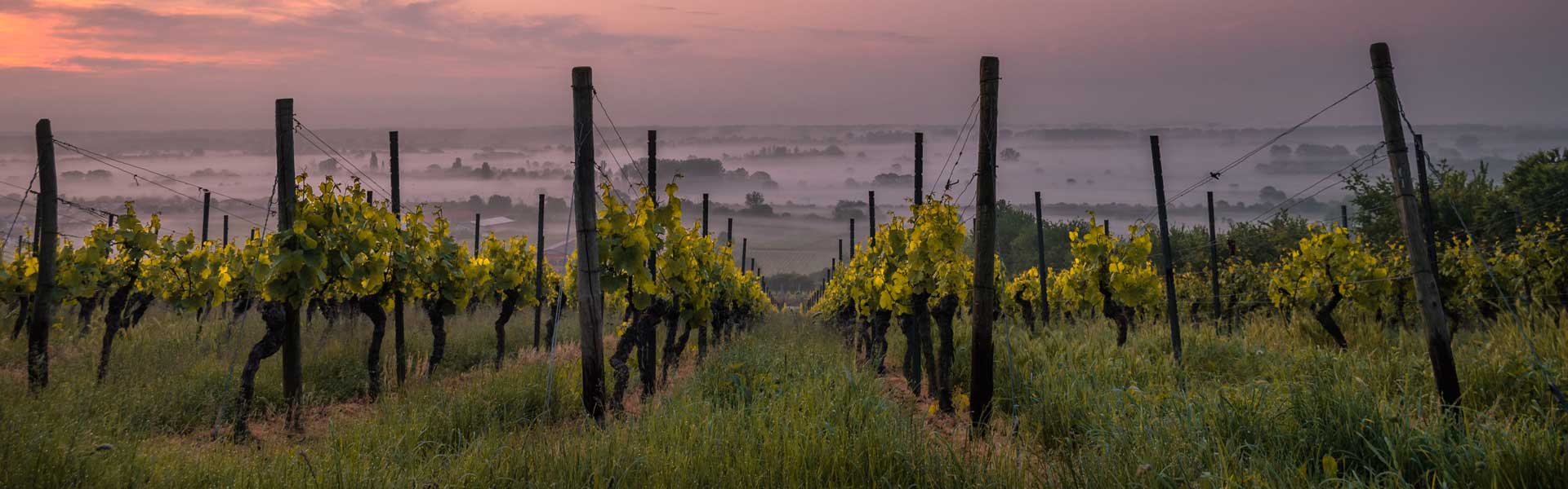 Cookie Policy - BRUMI