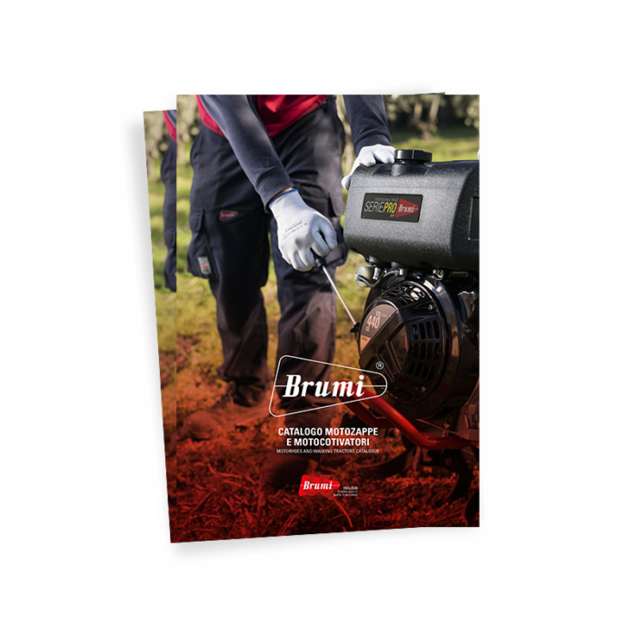 Cataloghi & Media - BRUMI