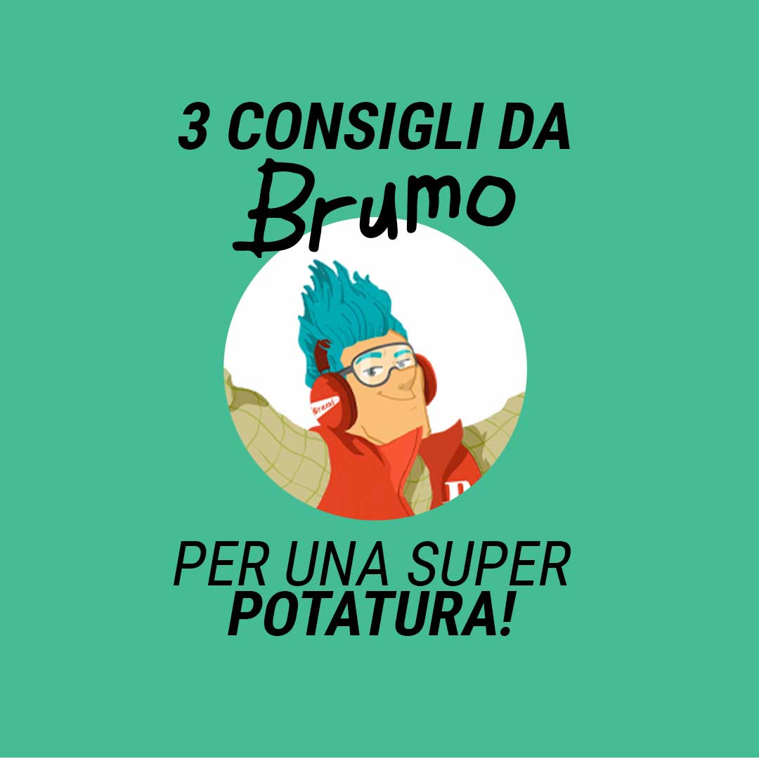 Las tres reglas para una poda perfecta - BRUMI